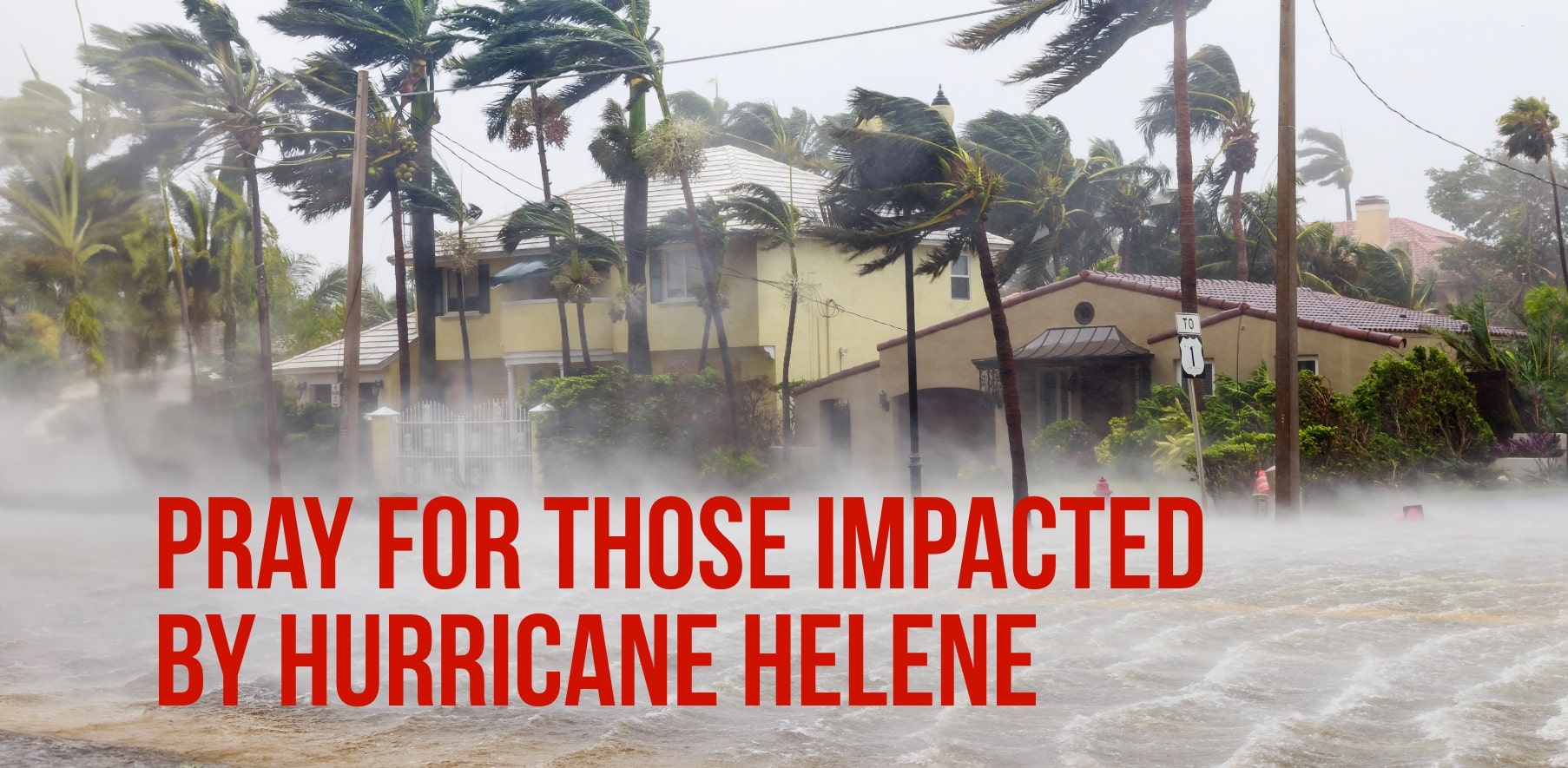 Hurricane Helene | LIFE Today